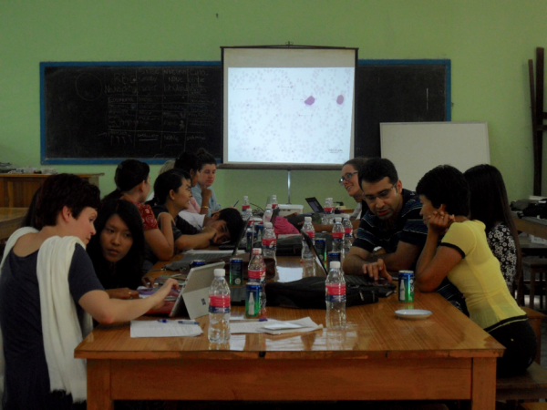 Tomorrow never dies – RAID Researchers in Agriculture for International ...